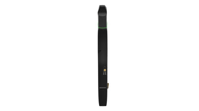 Sigo Bass Recorder by Kunath