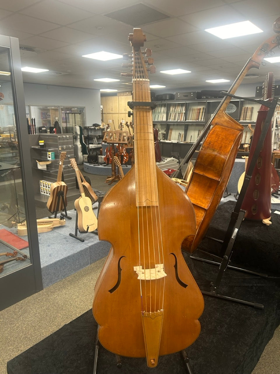 6 String Violone in G (Previously Owned)
