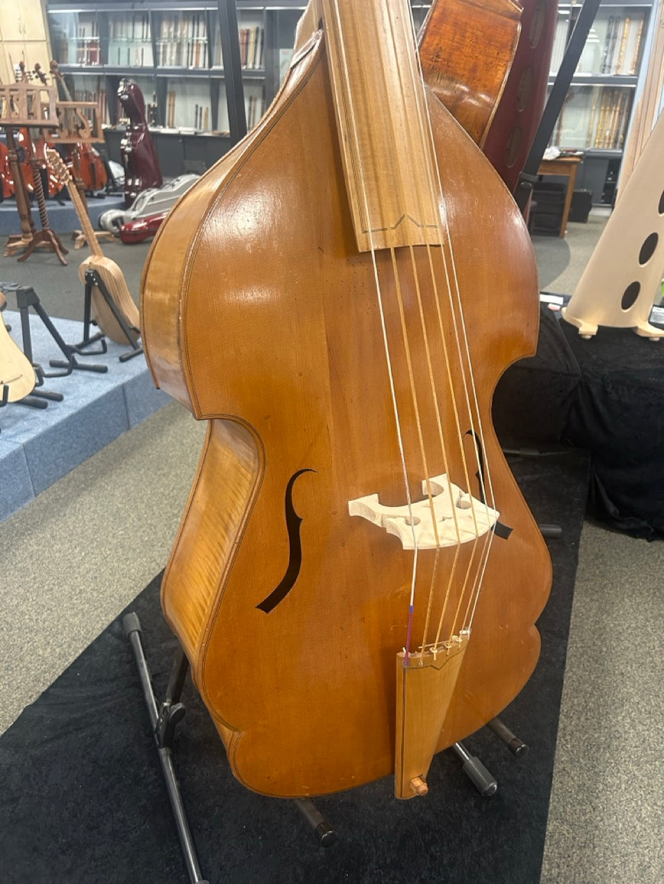 6 String Violone in G by David Holden (Reconditioned)
