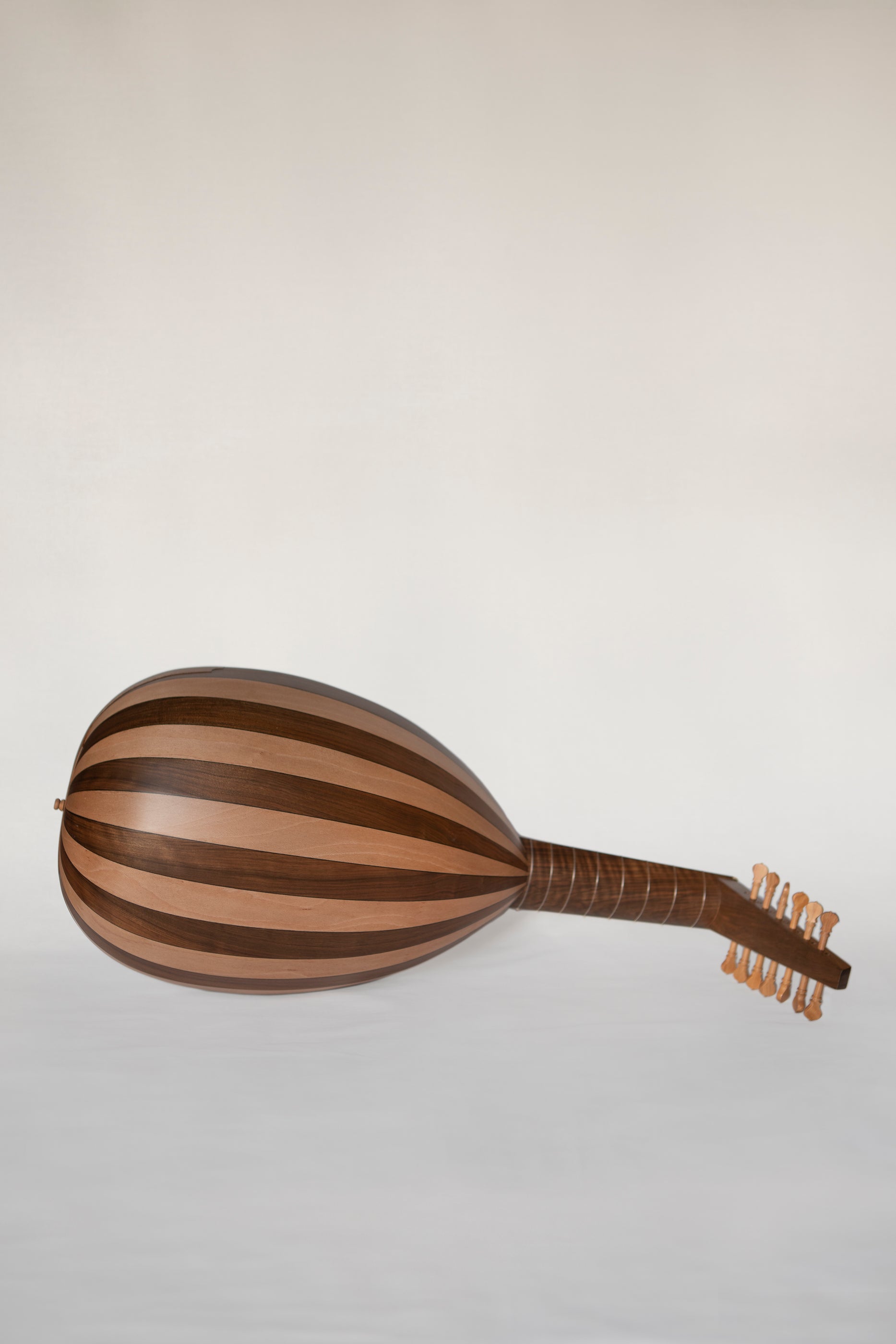 Premium 7-Course Renaissance Lute by The Early Music Shop