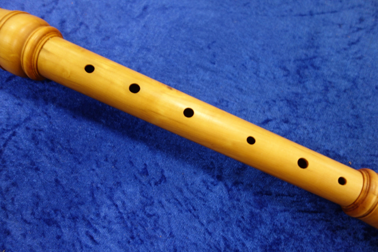 Tim Cranmore Voice Flute (a415) in Boxwood (Reconditioned)
