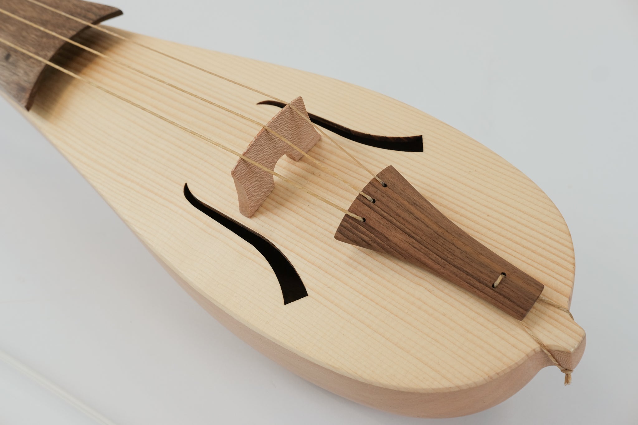 EMS Tenor Rebec with Semi Rigid Padded Case