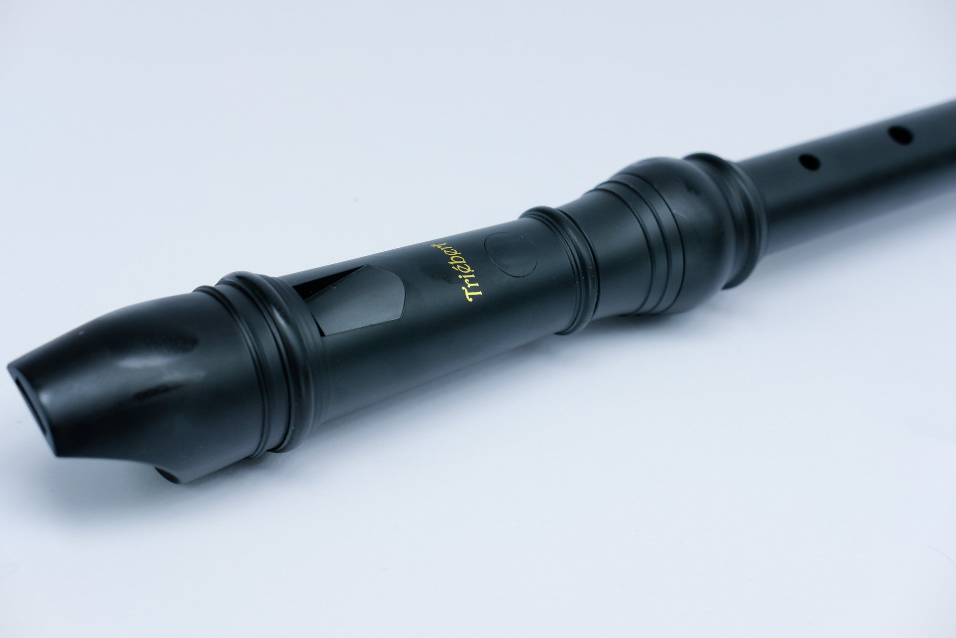 Triebert Alto (Treble) Recorder in Matt Black Finish