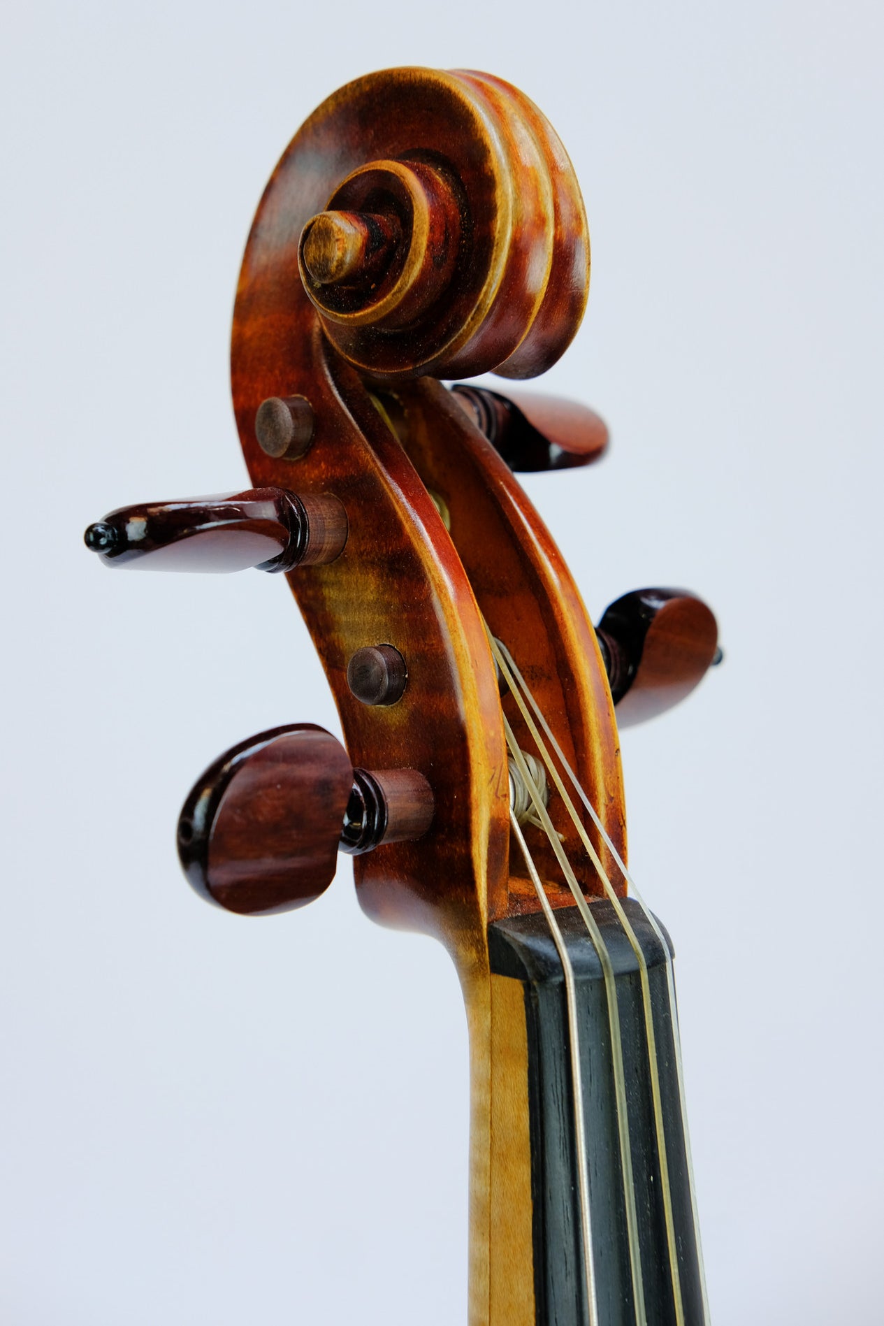 Ceske Baroque Violin