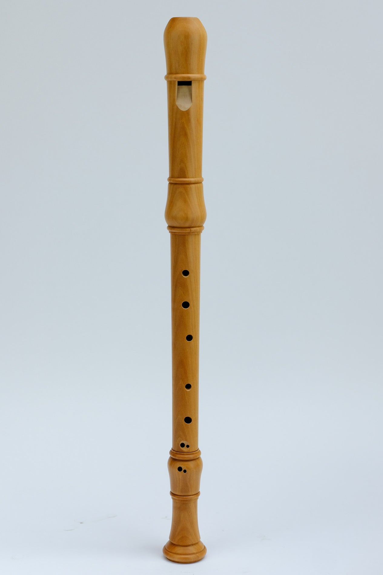 Plastic & Wooden Tenor Recorders at The Early Music Shop