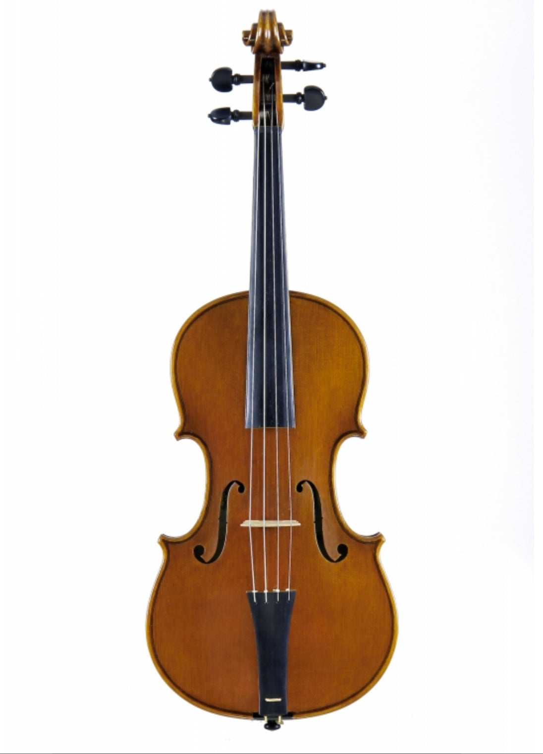 Bowed String Instruments